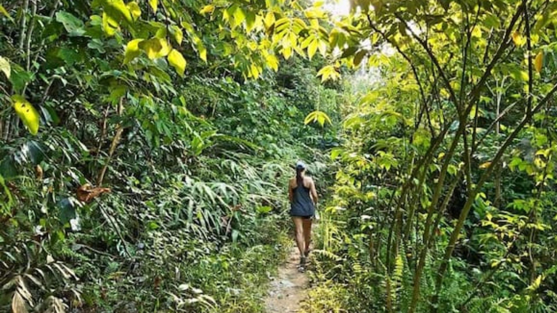 Khabru waterfall trek in Dharamshala @ Upto 15% off - Sea Water Sports