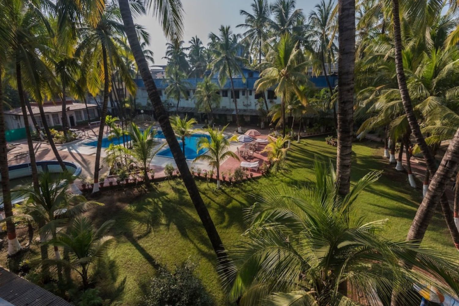 Located in a vibrant building covered by Coconut trees, Coconut Ivy ...