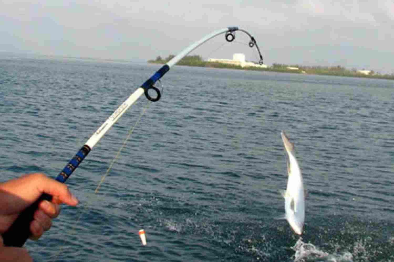 Fishing Tour in Goa - Catch Big & Relax | Upto Get 13% Off - Sea Water ...