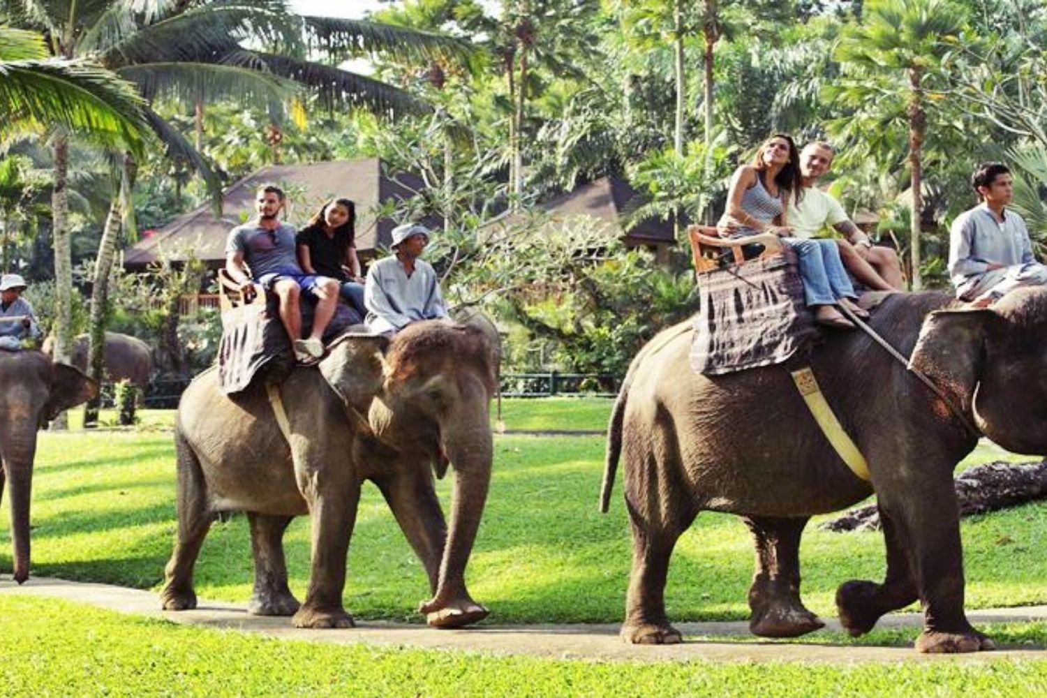 Book Your Ticket For Jungle Safari At Gorumara National Park - Sea ...