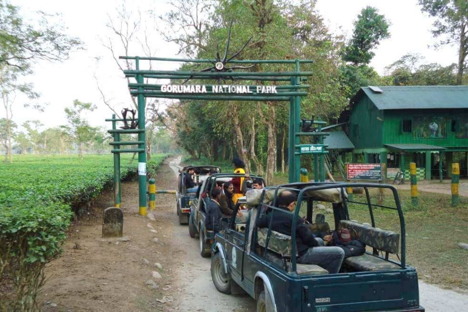 Reviews Activity level Medium Includes Equipment, Drinks ...