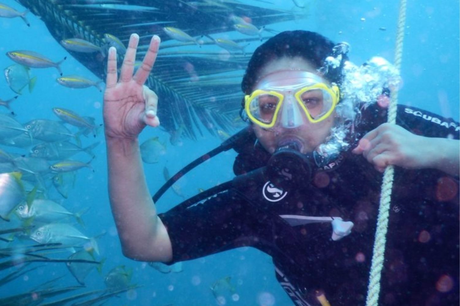 Top Rated Scuba Diving in Tamil Nadu At The Lowest Rate - Sea Water Sports