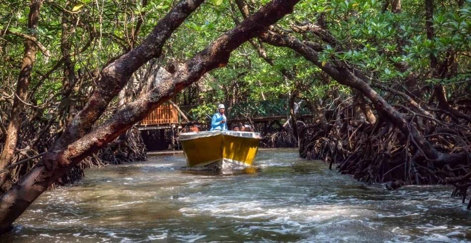 Baratang In Andaman | Thing To Do Andaman Sea Water Sports