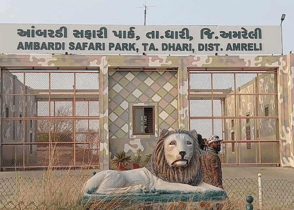 Ambardi Safari Park In Gujarat | Things To Do - Sea Water Sports