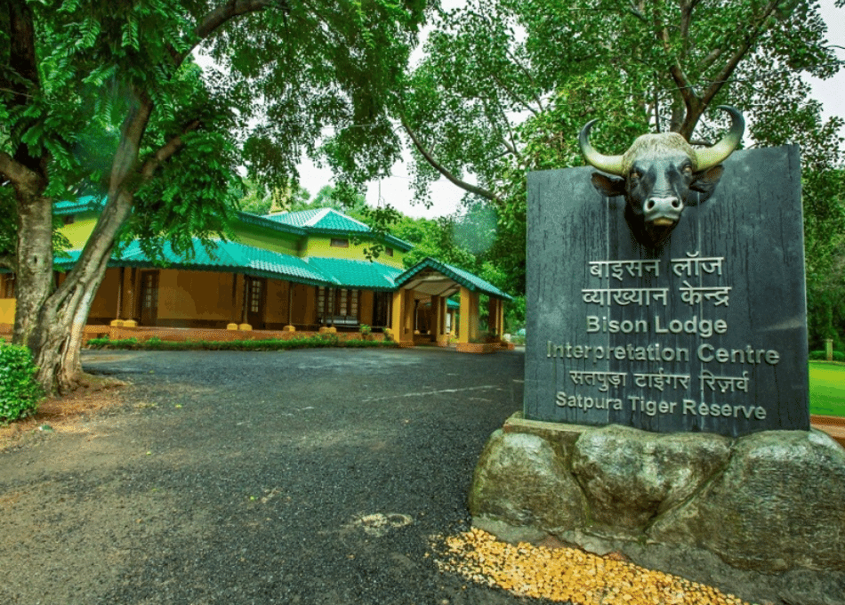 Bison Lodge Museum In Madhya Pradesh | Things To Do - Sea Water Sports