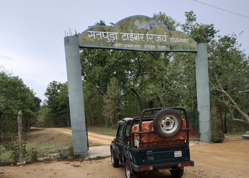 Bori Wildlife Sanctuary In Madhya Pradesh | Things To Do - Sea Water Sports