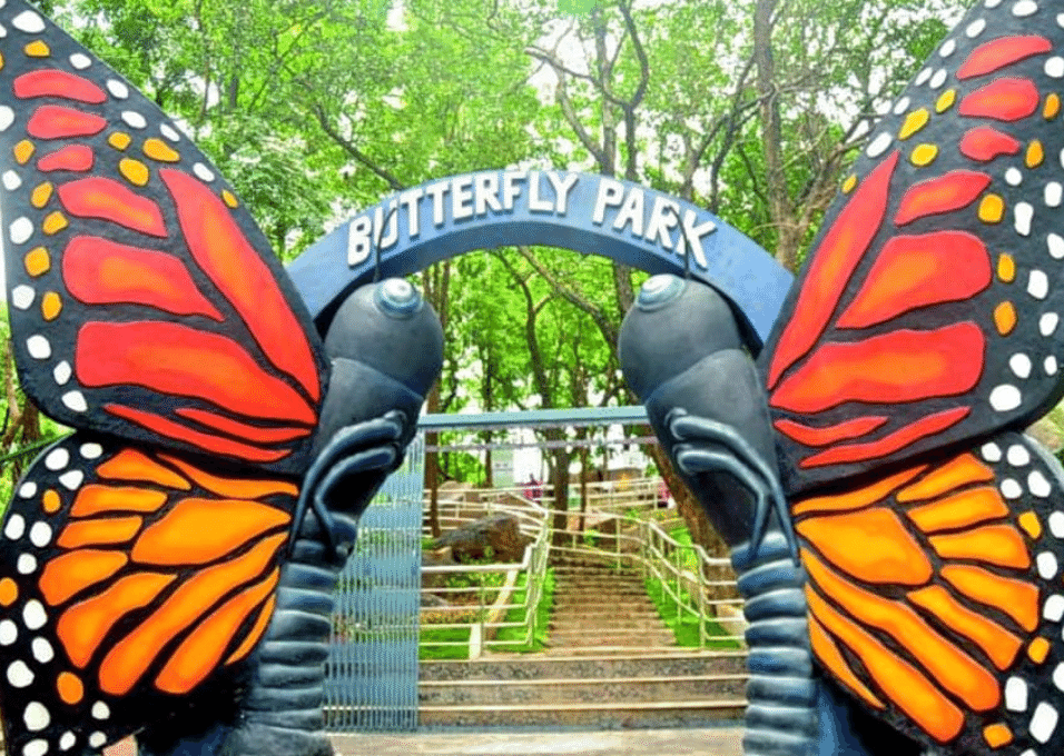 Butter fly park In Tamil Nadu | Things To Do - Sea Water Sports