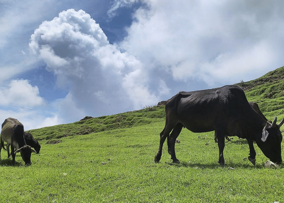 Charekh Danda In Uttarakhand | Things To Do - Sea Water Sports