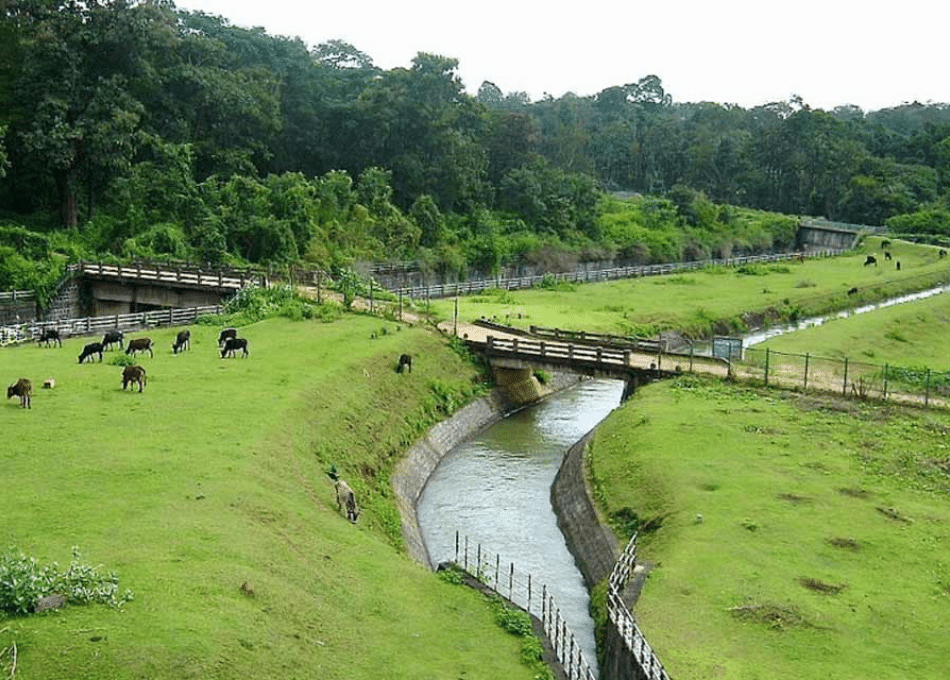 Chiklihole Reservoir In Karnataka | Things To Do - Sea Water Sports