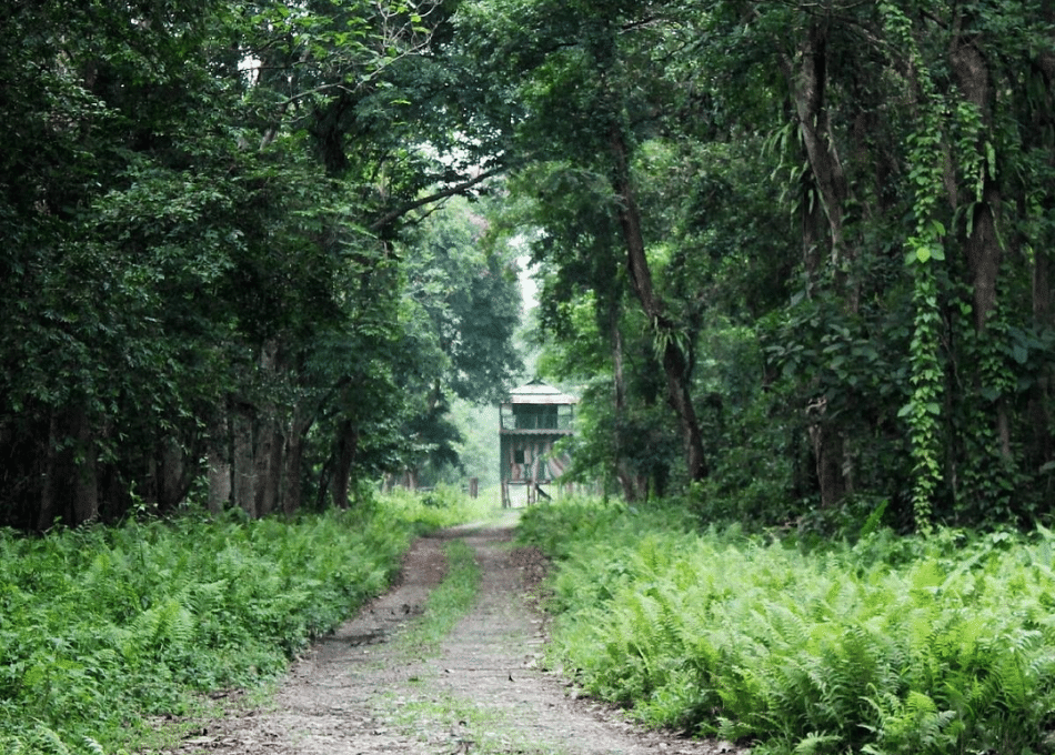 Chilapata Forest In West Bengal | Things To Do - Sea Water Sports