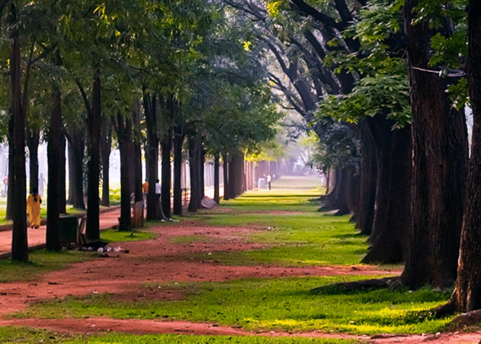 Cubbon Park In Karnataka | Things To Do - Sea Water Sports