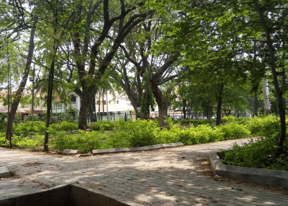 Dangey Park In Karnataka | Things To Do - Sea Water Sports