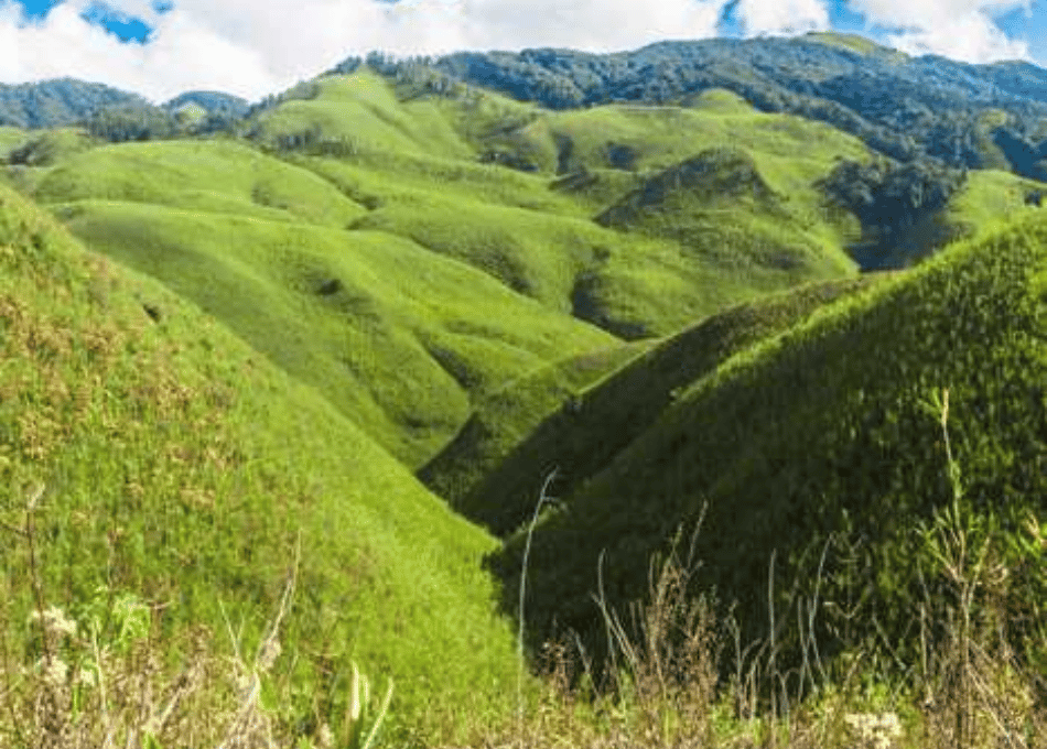 Dzukou Valley