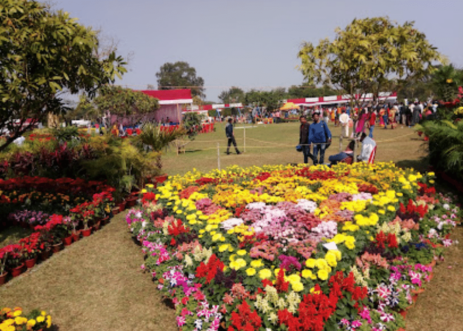 Ekamra Kanan In Odisha | Things To Do - Sea Water Sports