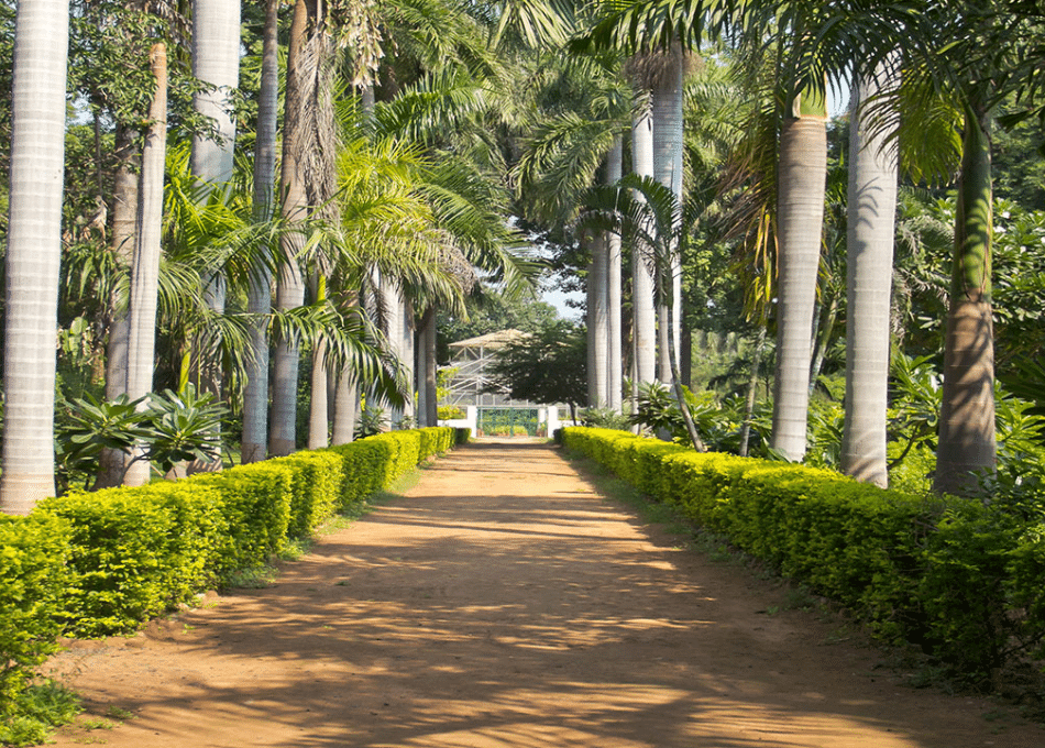 Gandhi Baug In Gujarat | Things To Do - Sea Water Sports