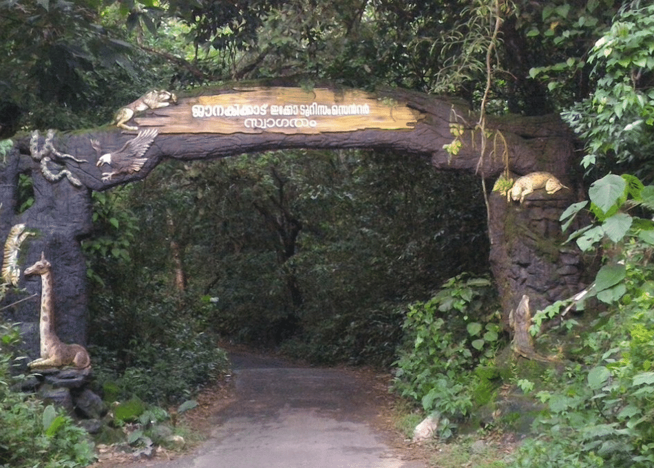 Janaki Forest In Kerala | Things To Do - Sea Water Sports