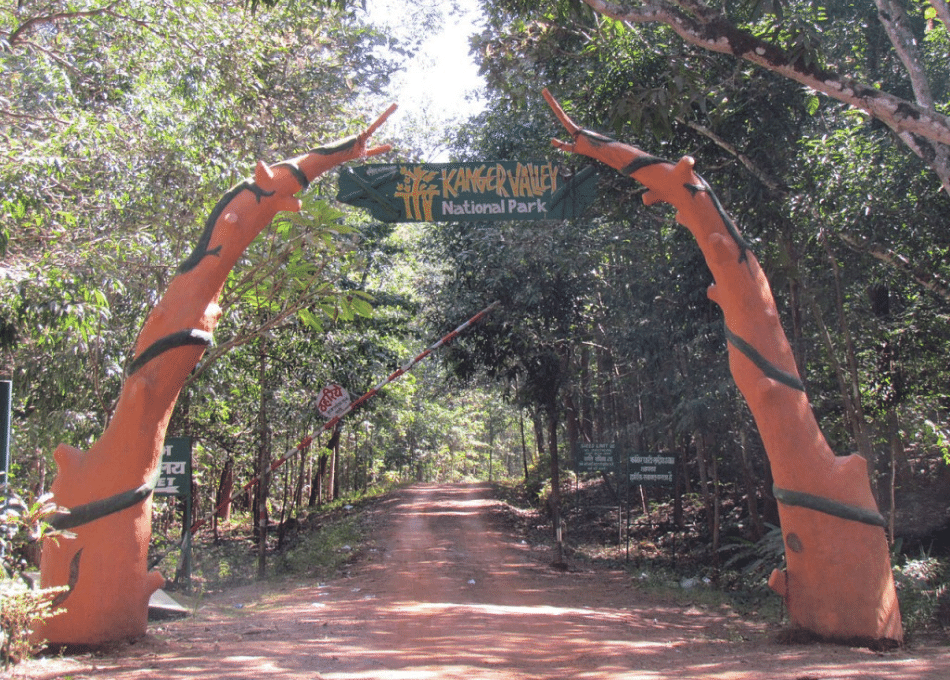 Kanger Valley National Park In Chhattisgarh | Things To Do - Sea Water ...