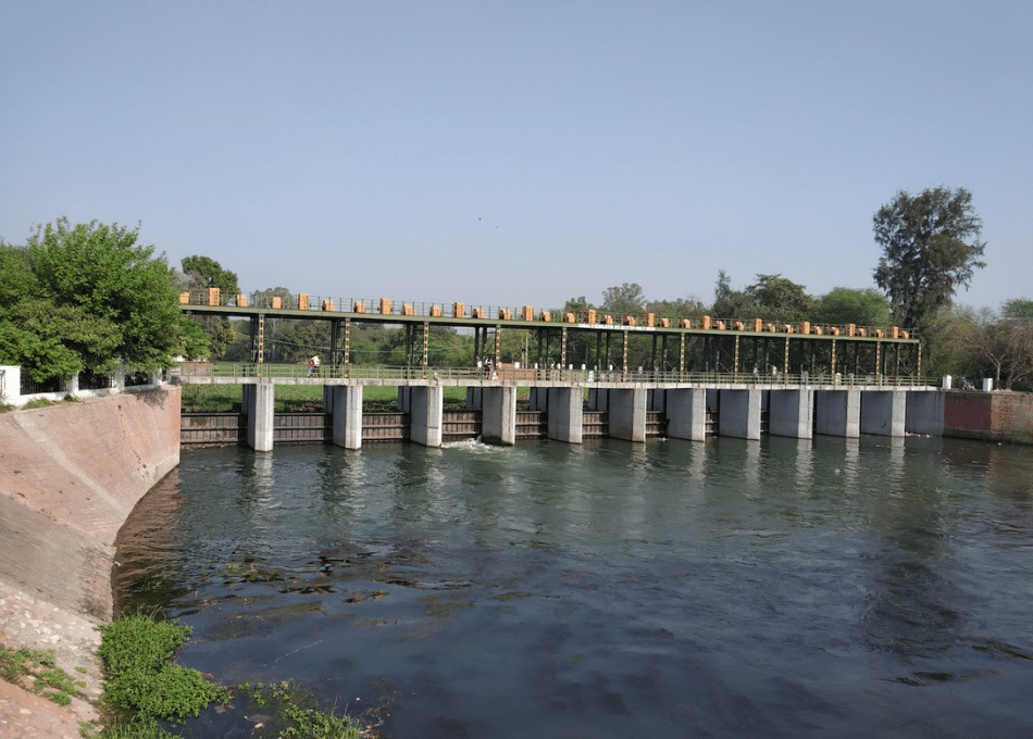 Kanjli Wetlands In Punjab | Things To Do - Sea Water Sports