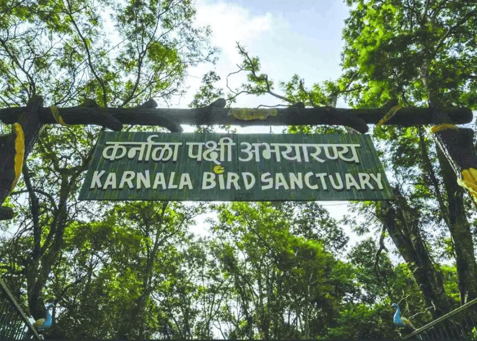 Karnala Bird Sanctuary In Maharashtra | Things To Do - Sea Water Sports