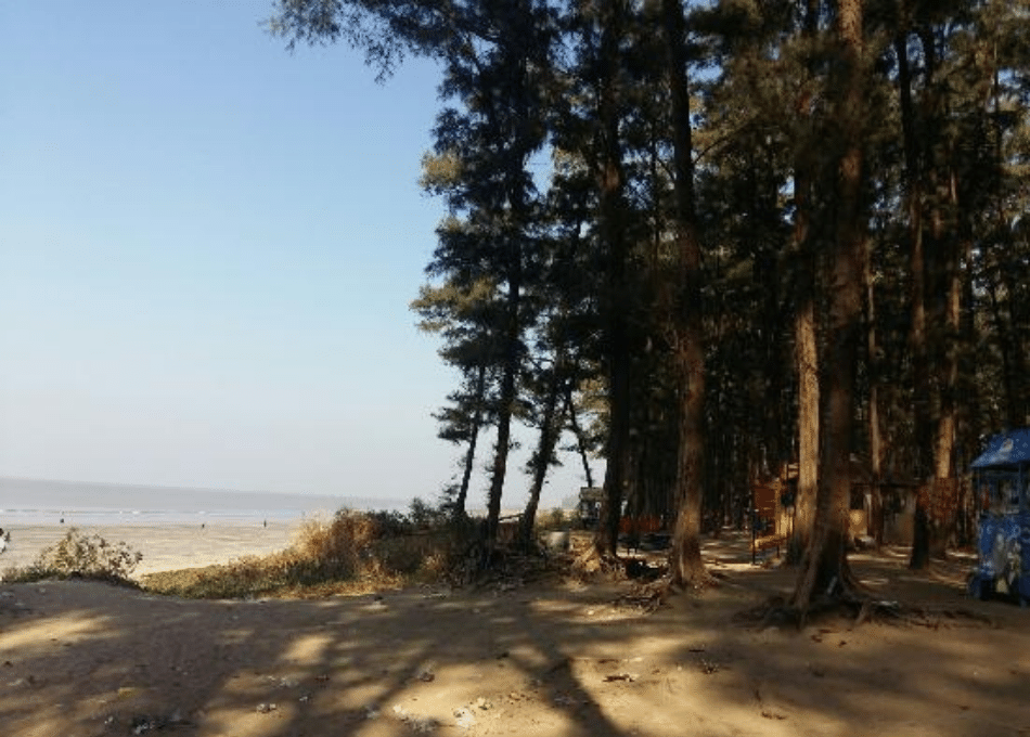 Kelva Beach In Maharashtra | Things To Do - Sea Water Sports