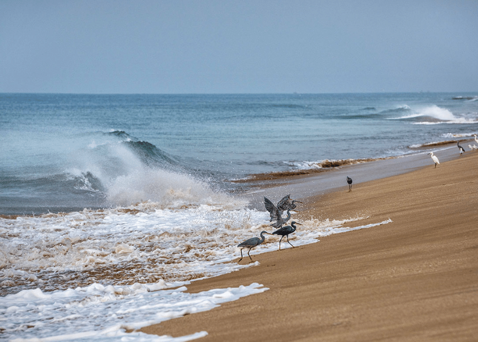 Madhavpur Beach In Gujarat | Things To Do - Sea Water Sports