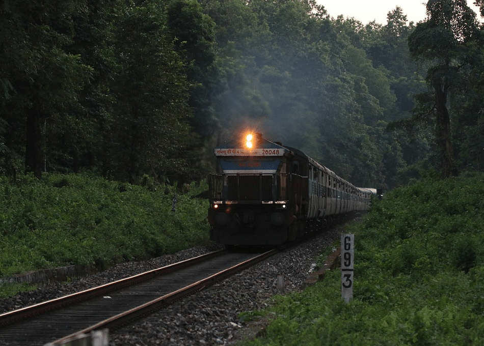 Mahananda Wildlife Sanctuary - Sea Water Sports