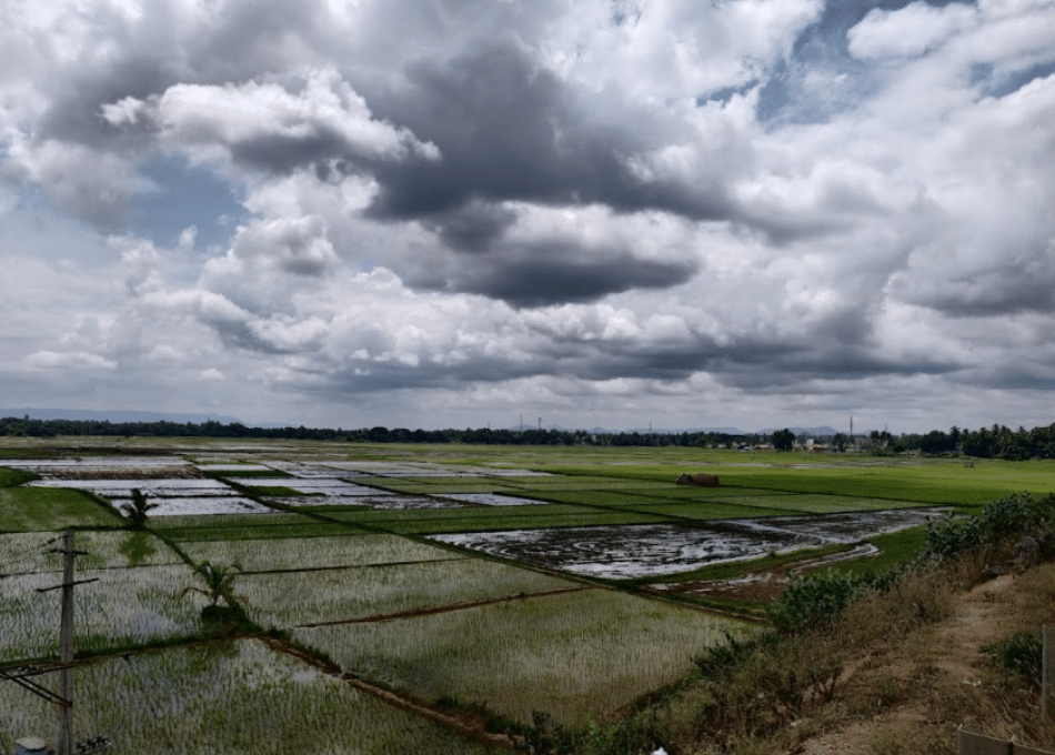 Malavalli Lake In Karnataka | Things To Do - Sea Water Sports