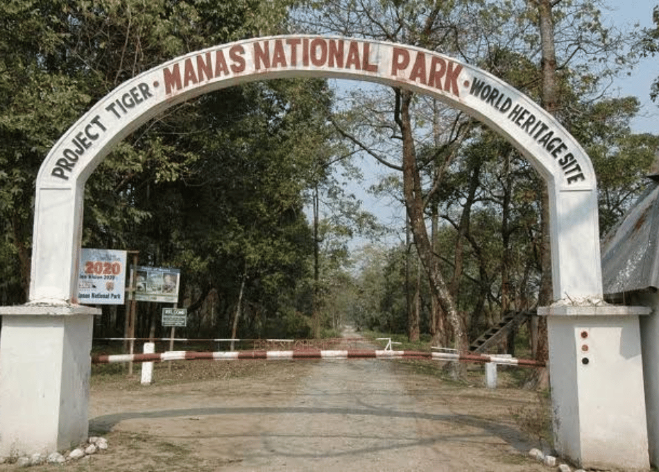 Manas National Park - Sea Water Sports
