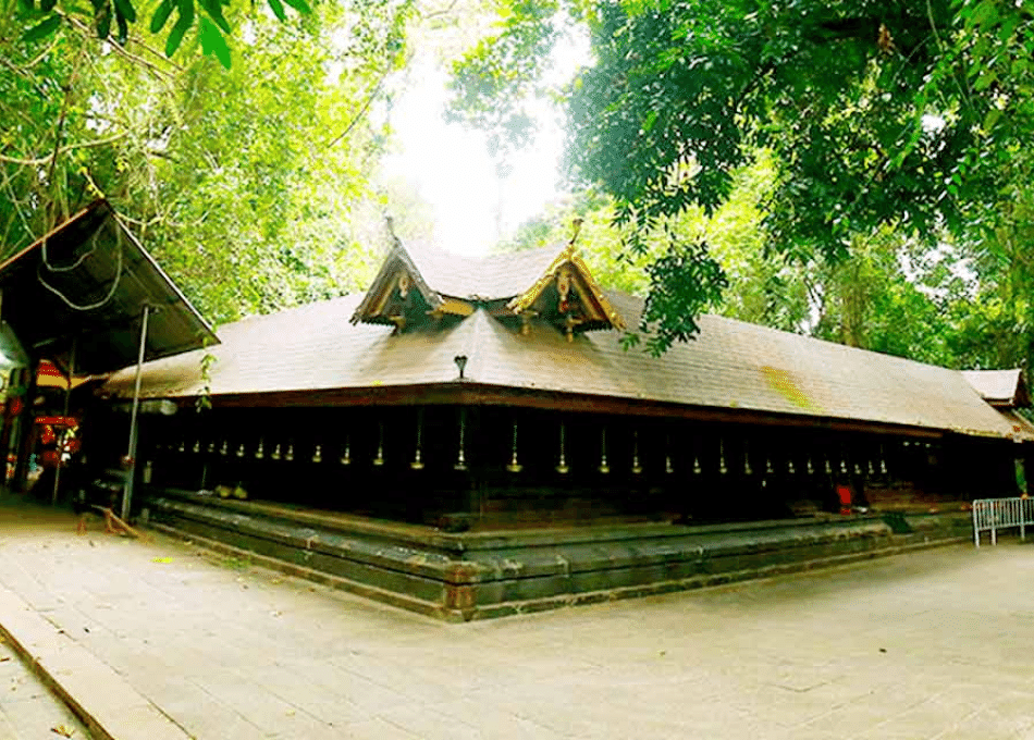 Mannarasala Sree Nagaraja Temple In Kerala | Things To Do - Sea Water ...