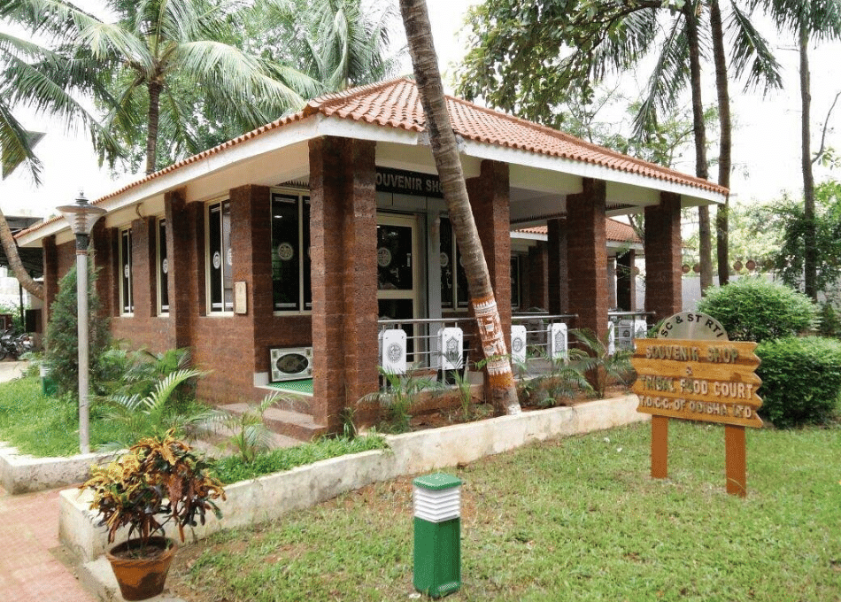 Museum of Tribal Arts and Artefacts In Odisha | Things To Do - Sea ...