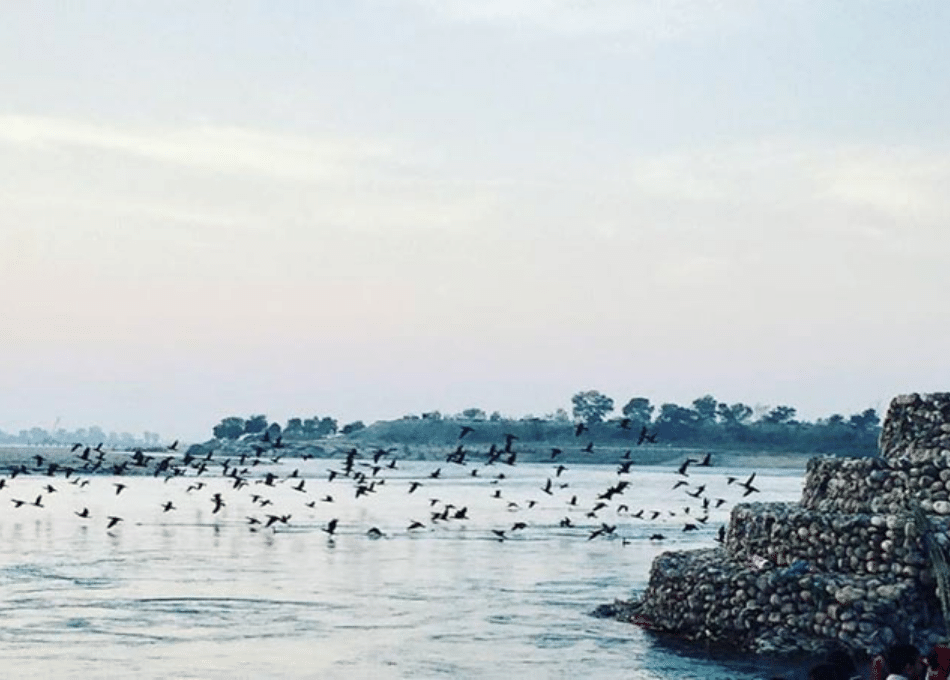 Neel Dhara Pakshi Vihar In Uttarakhand | Things To Do - Sea Water Sports