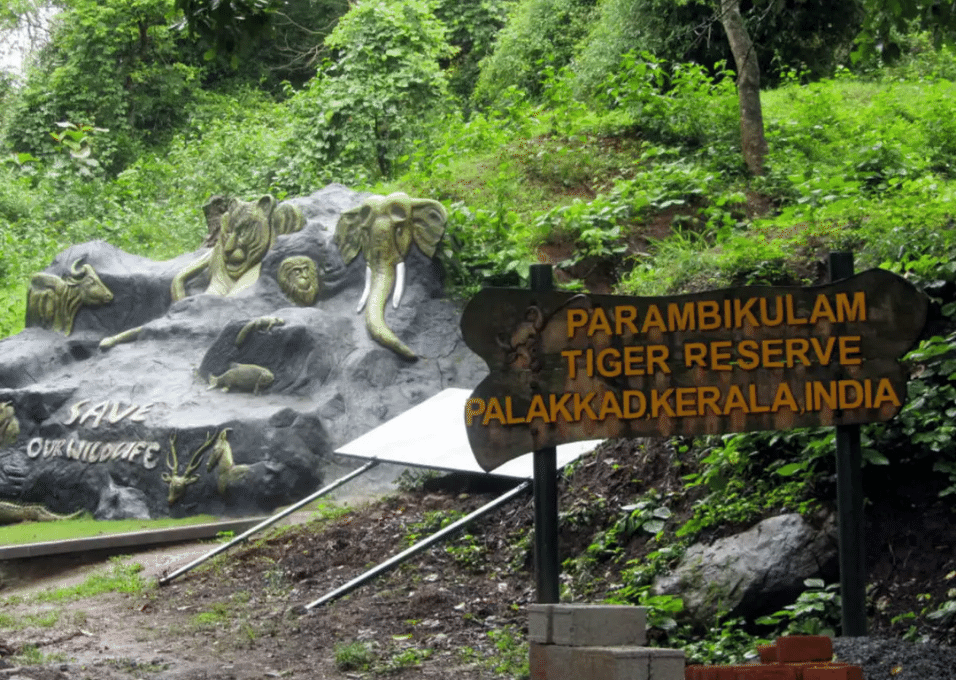 Parambikulam Wildlife Sanctuary In Tamil Nadu | Things To Do - Sea ...