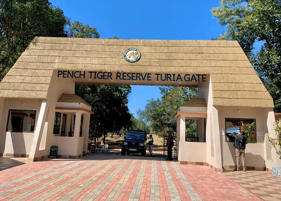 Pench Tiger Reserve In Madhya Pradesh