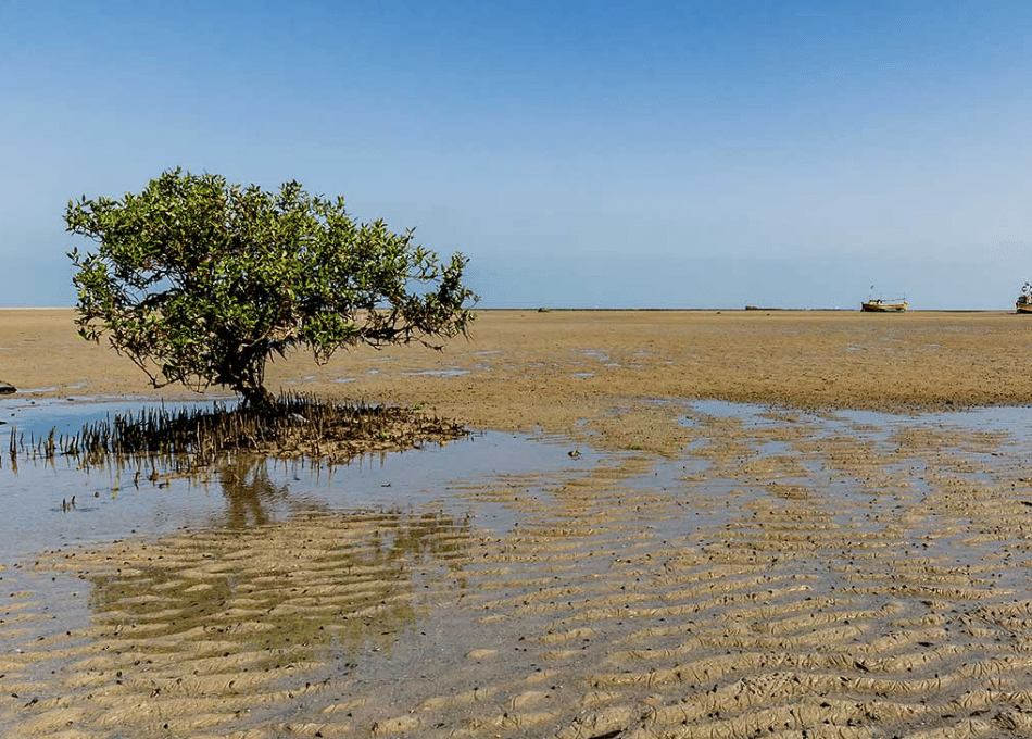 Pirotan Island In Gujarat | Things To Do - Sea Water Sports