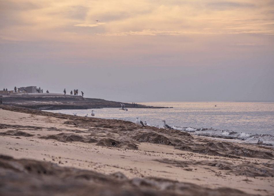 Porbandar Beach In Gujarat | Things To Do - Sea Water Sports