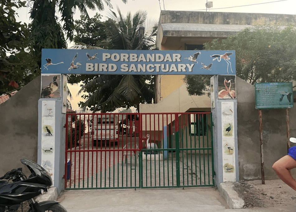 Porbandar Bird Sanctuary In Gujarat | Things To Do - Sea Water Sports