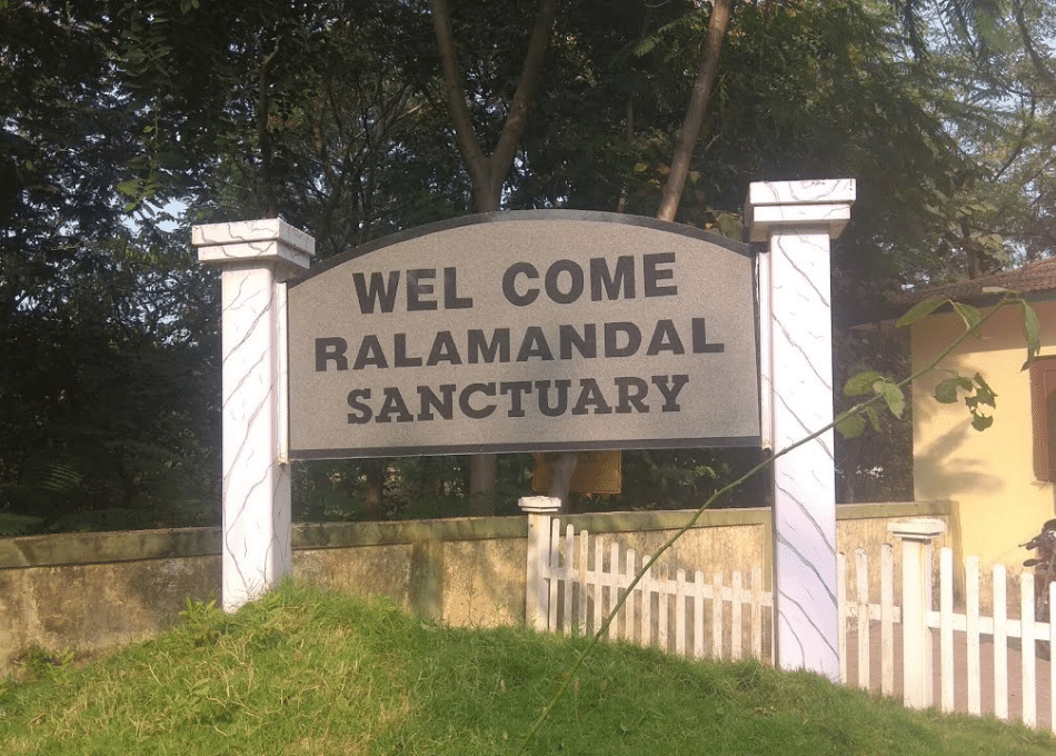 Ralamandal Wildlife Sanctuary In Madhya Pradesh | Things To Do - Sea ...