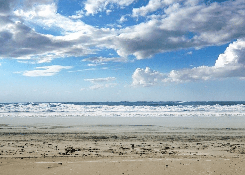Relax on the Tajpur Beach In West Bengal | Things To Do - Sea Water Sports