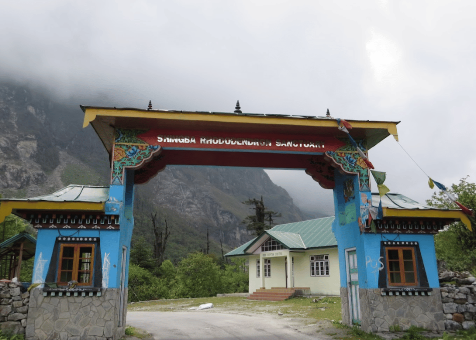 Shingba Rhododendron Sanctuary In Sikkim | Things To Do - Sea Water Sports