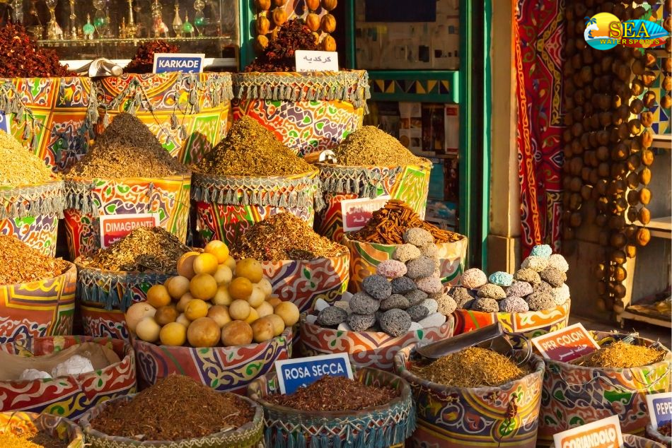 Shopping In Malvan | Things To Do - Sea Water Sports