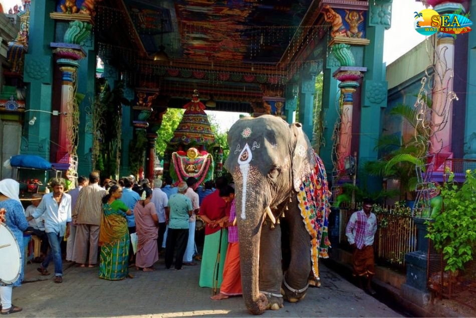 Shopping in Pondy Bazaar In Pondicherry | Things To Do - Sea Water Sports