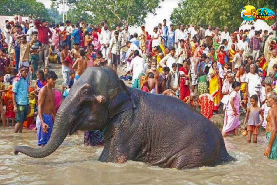 Sonepur In Bihar | Things To Do - Sea Water Sports