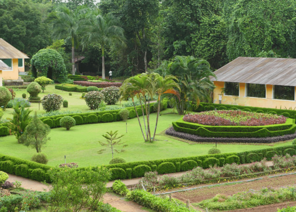 Teak Museum In Kerala | Things To Do - Sea Water Sports