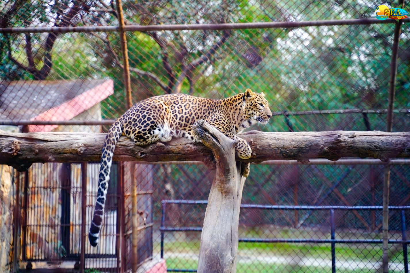 The National Zoological Park