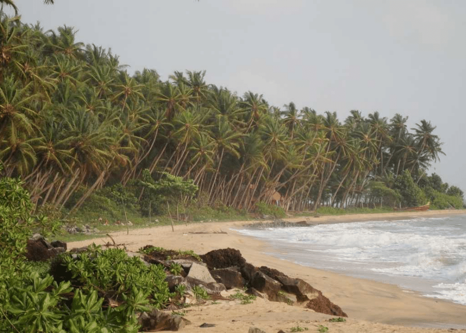 Thottada Beach In Kerala | Things To Do - Sea Water Sports