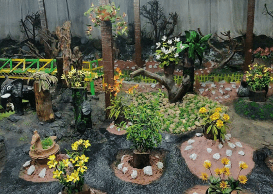 Thread Garden In Tamil Nadu | Things To Do - Sea Water Sports