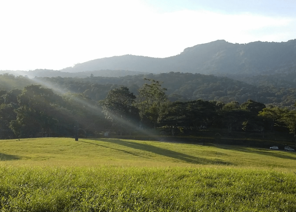 Topslip Tiger Forest In Tamil Nadu | Things To Do - Sea Water Sports