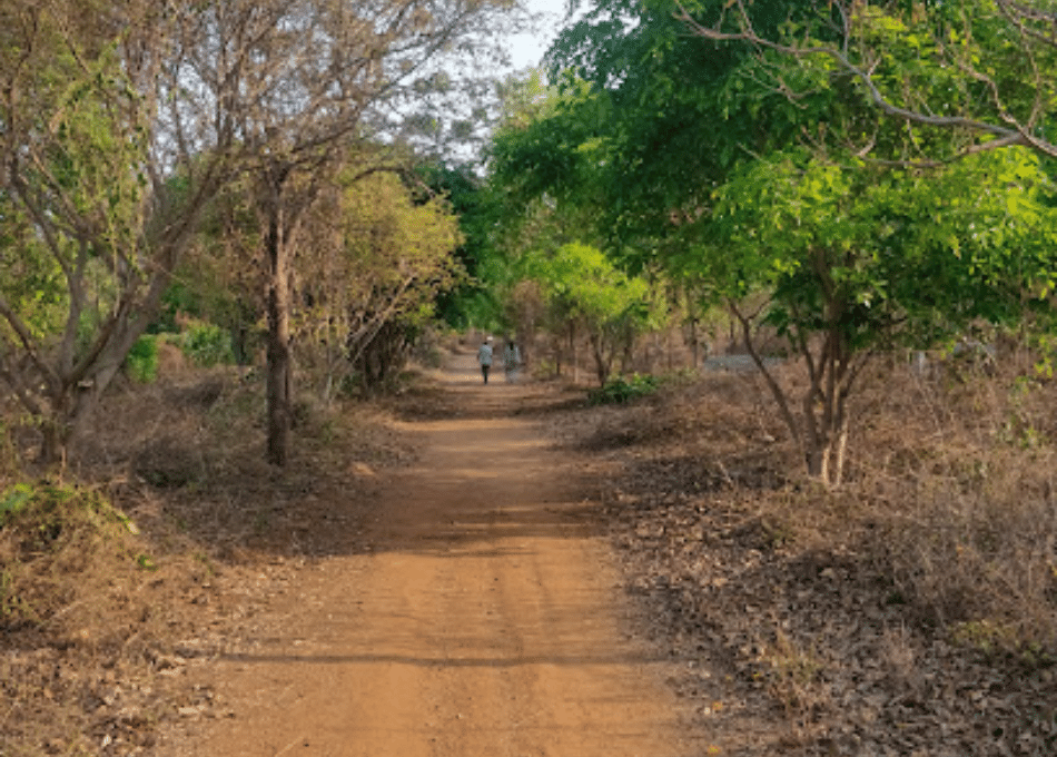 Turahalli In Karnataka | Things To Do - Sea Water Sports