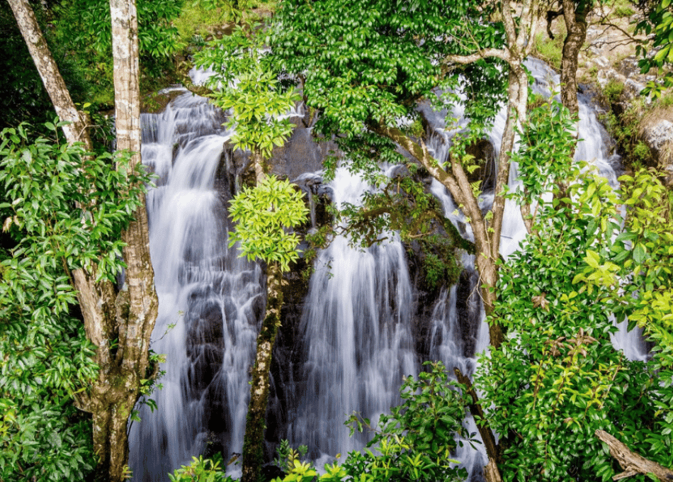 Tyrshi Falls In Meghalaya | Things To Do - Sea Water Sports