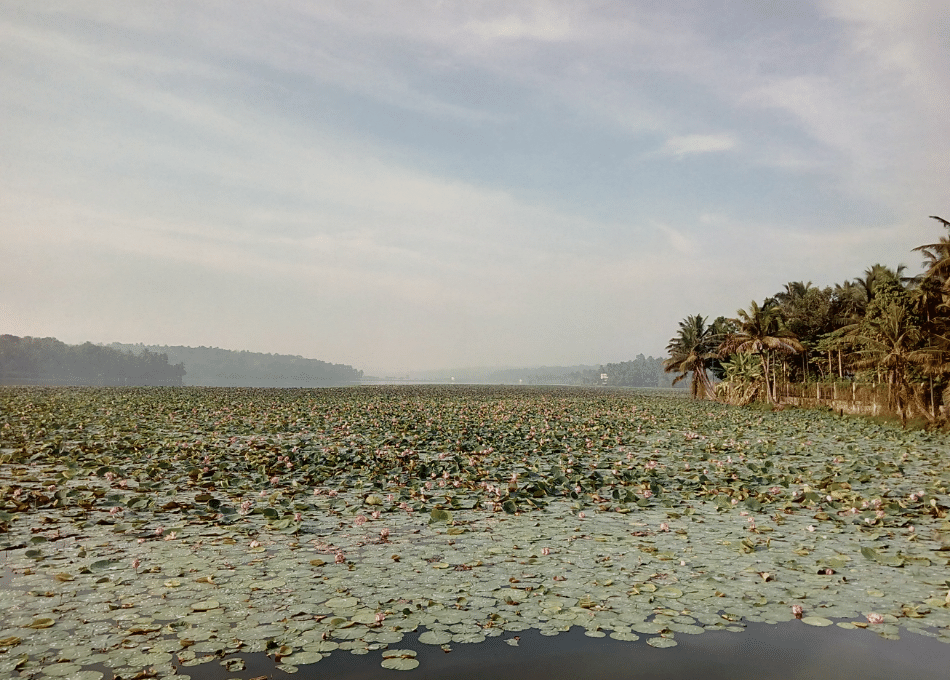 Vellayani Lake In Kerala | Things To Do - Sea Water Sports